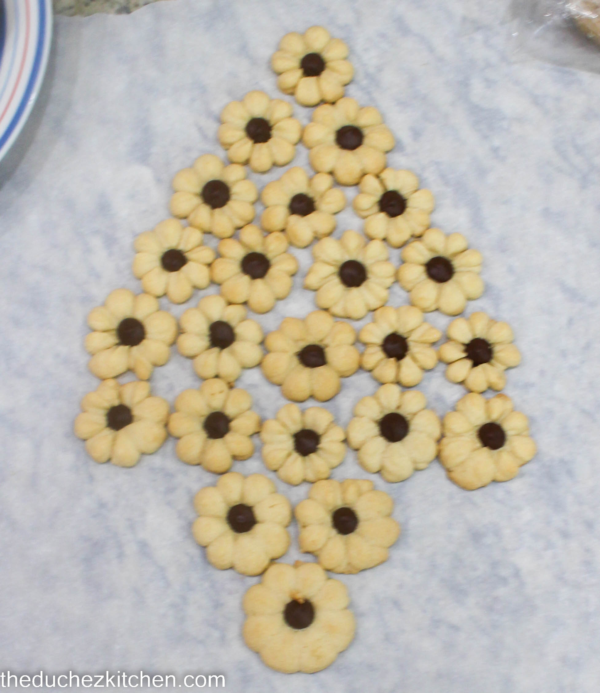 Condensed Milk Biscuits (cookies) - The Duchez Kitchen