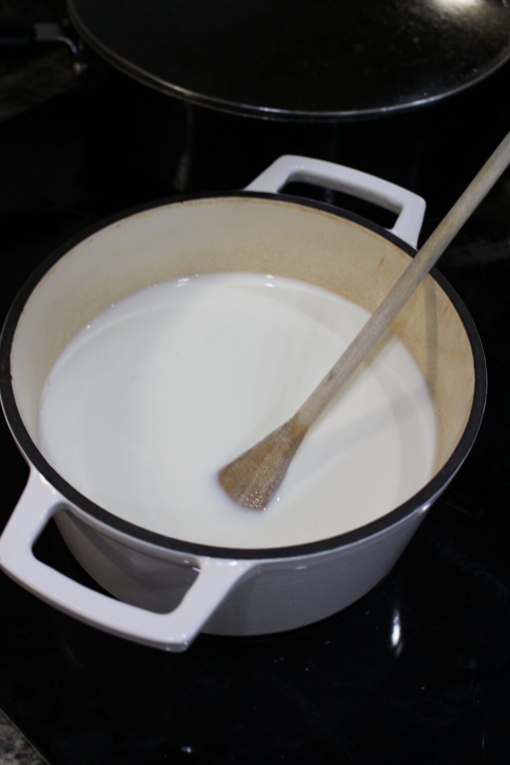 How to Make Homemade Yogurt Starter from Scratch - The Duchez Kitchen