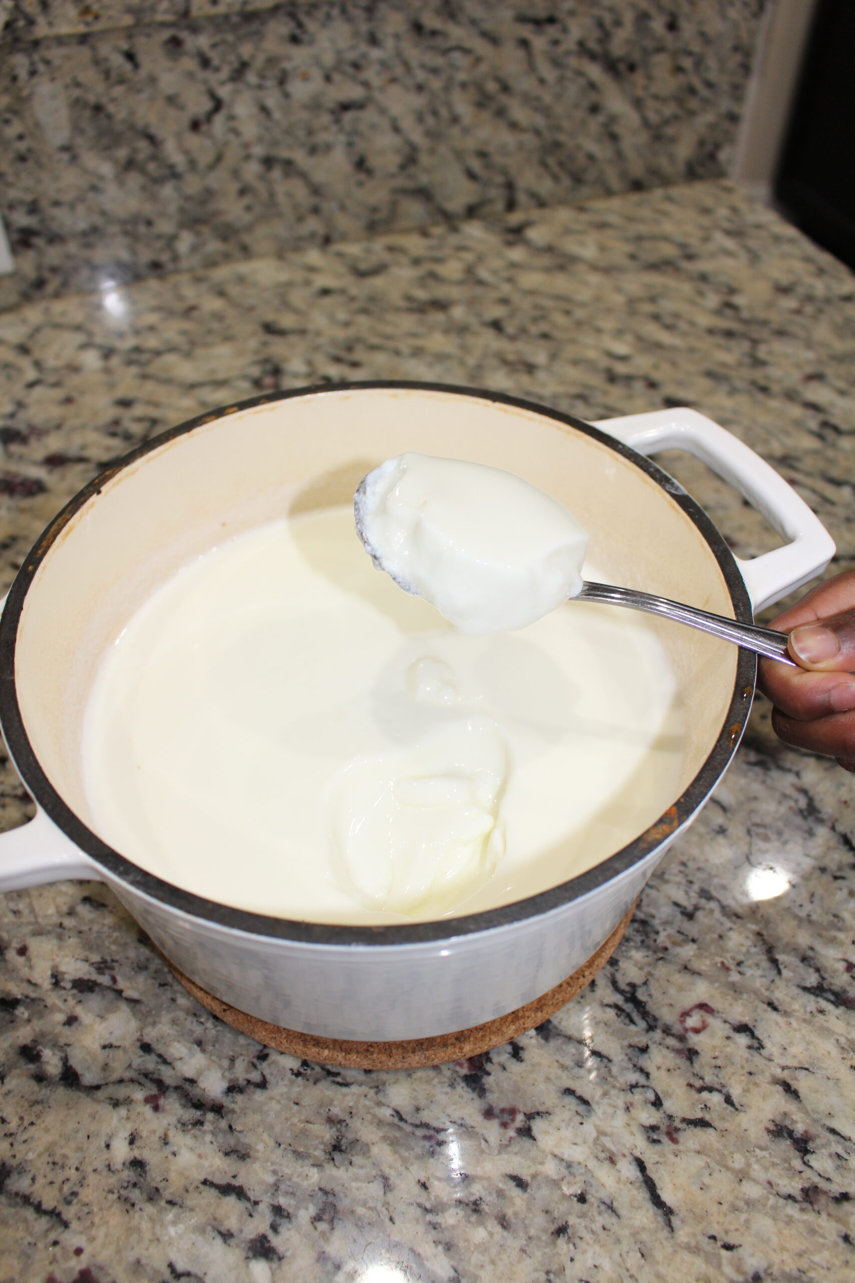 How to Make Homemade Yogurt Starter from Scratch - The Duchez Kitchen