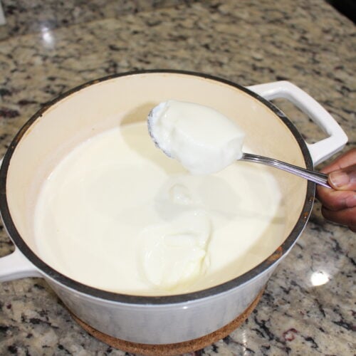 How to Make Homemade Yogurt Starter from Scratch - The Duchez Kitchen